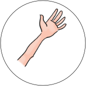 BODY / strana 66–67