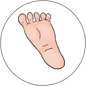 BODY / strana 66–67