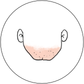 BODY / strana 66–67