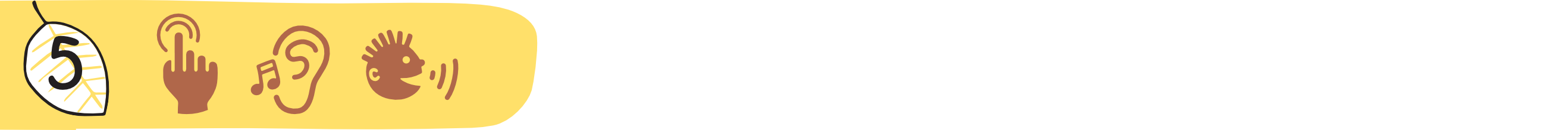 3A House in the Forest