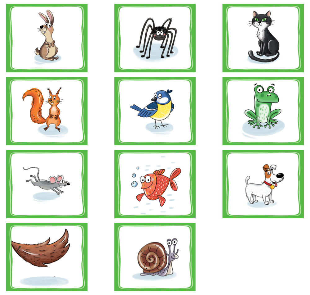 7C Animals & Pets